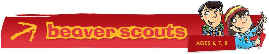 Youth Programme - Limerick Scout County